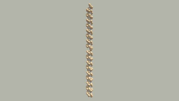 Collagen 3D models - Sketchfab