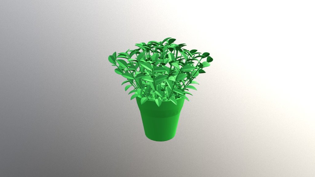 Plants - 3D model by Dhruv (@dgohil) [ccce0e2] - Sketchfab