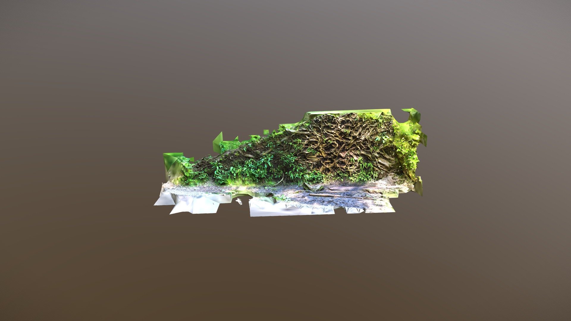 Fallen Tree Roots - 3D model by Greg Malkin (@gmalkin) [ccd4e8f ...