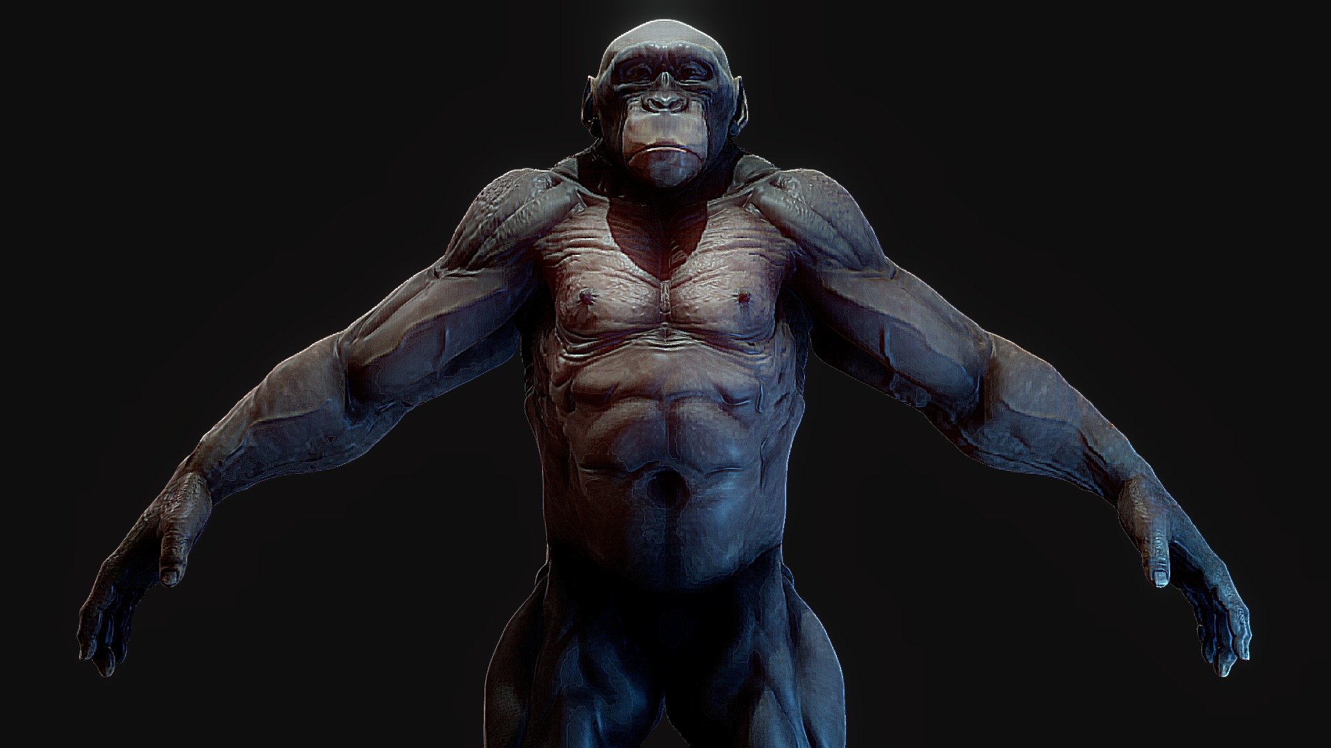 Bald Chimpanzee - 3D model by Rochaku [ccd577d] - Sketchfab