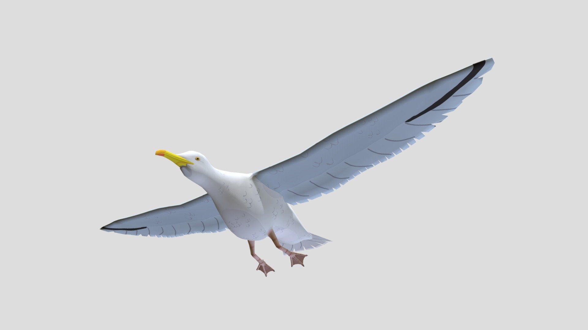 Cartoon Seagull with animations - Buy Royalty Free 3D model by Mixall ...