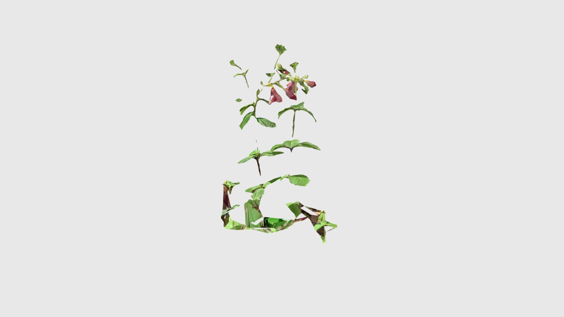 Maroon - Download Free 3D model by Breakeytech1 (@mbreakey) [ccd93e0 ...