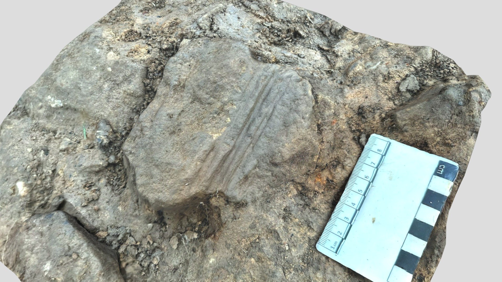 Oct30at3-12PM-poly Stone Small - Download Free 3D model by csdrabble ...