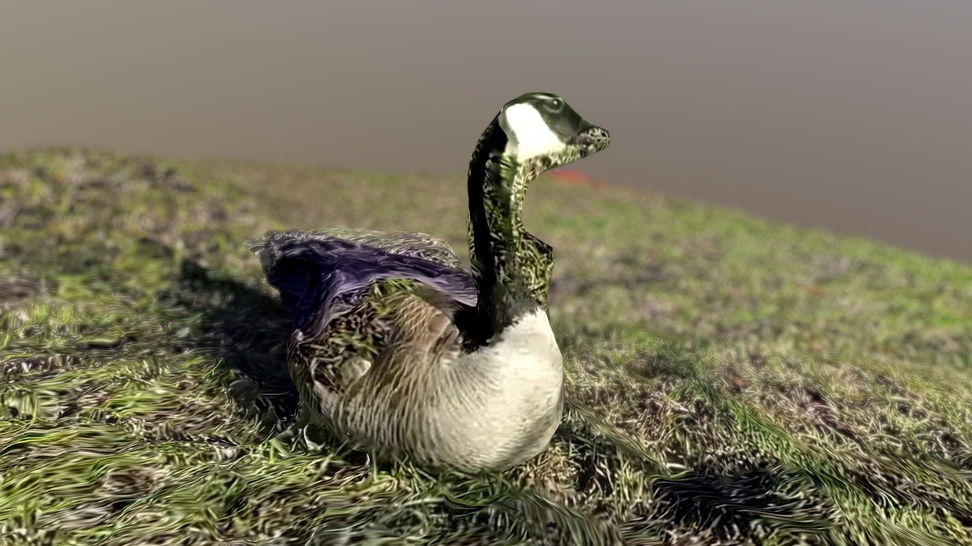 Goose - Download Free 3D model by stevencmutter [ccf4baa] - Sketchfab