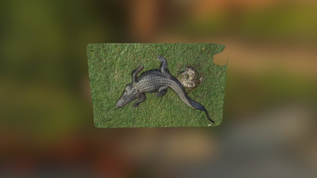 Crocodile Obj - 3D model by tsitcorp [ccf5405] - Sketchfab