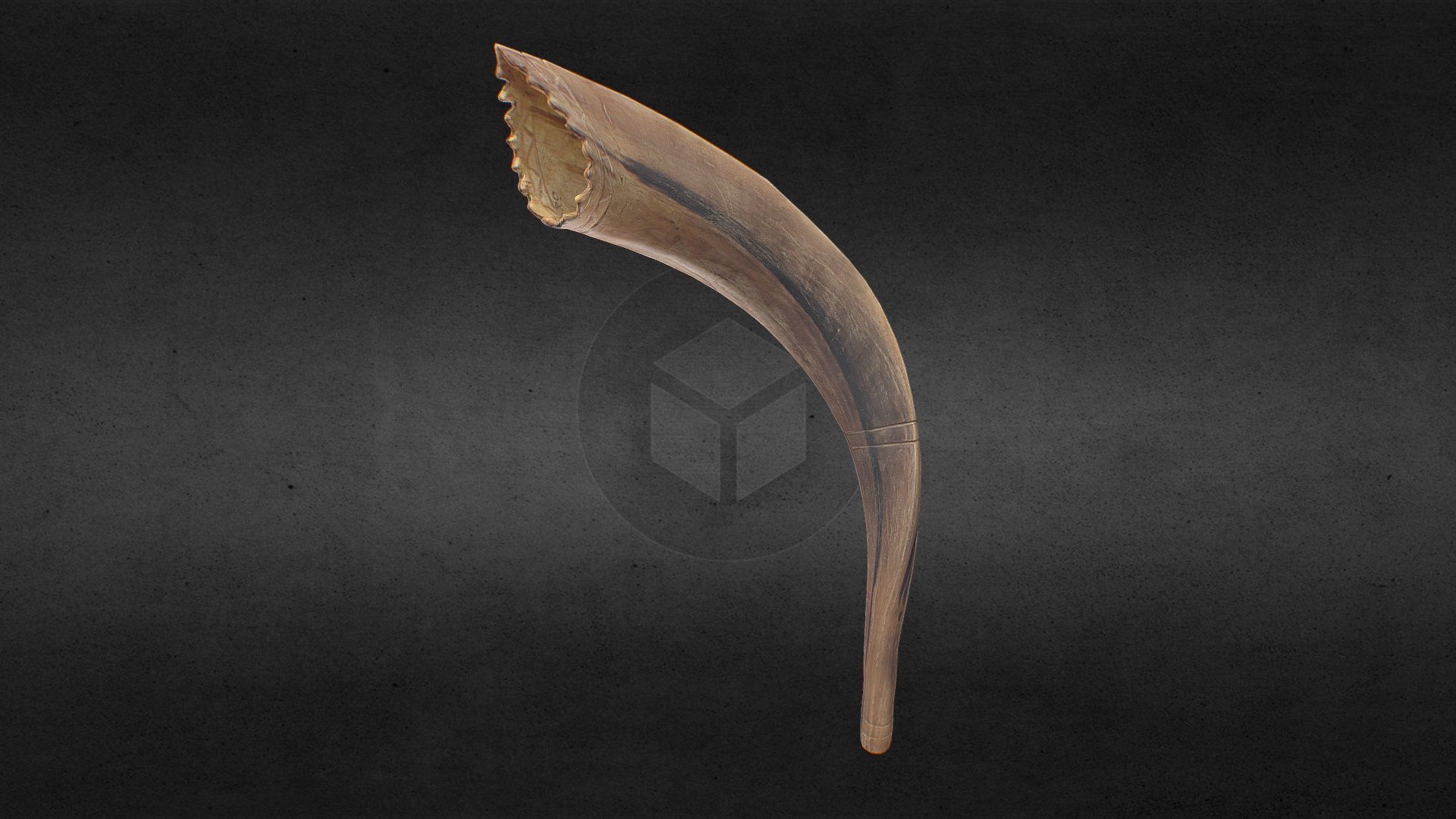 Horn002 - 3D model by jojosmi [cd013ef] - Sketchfab