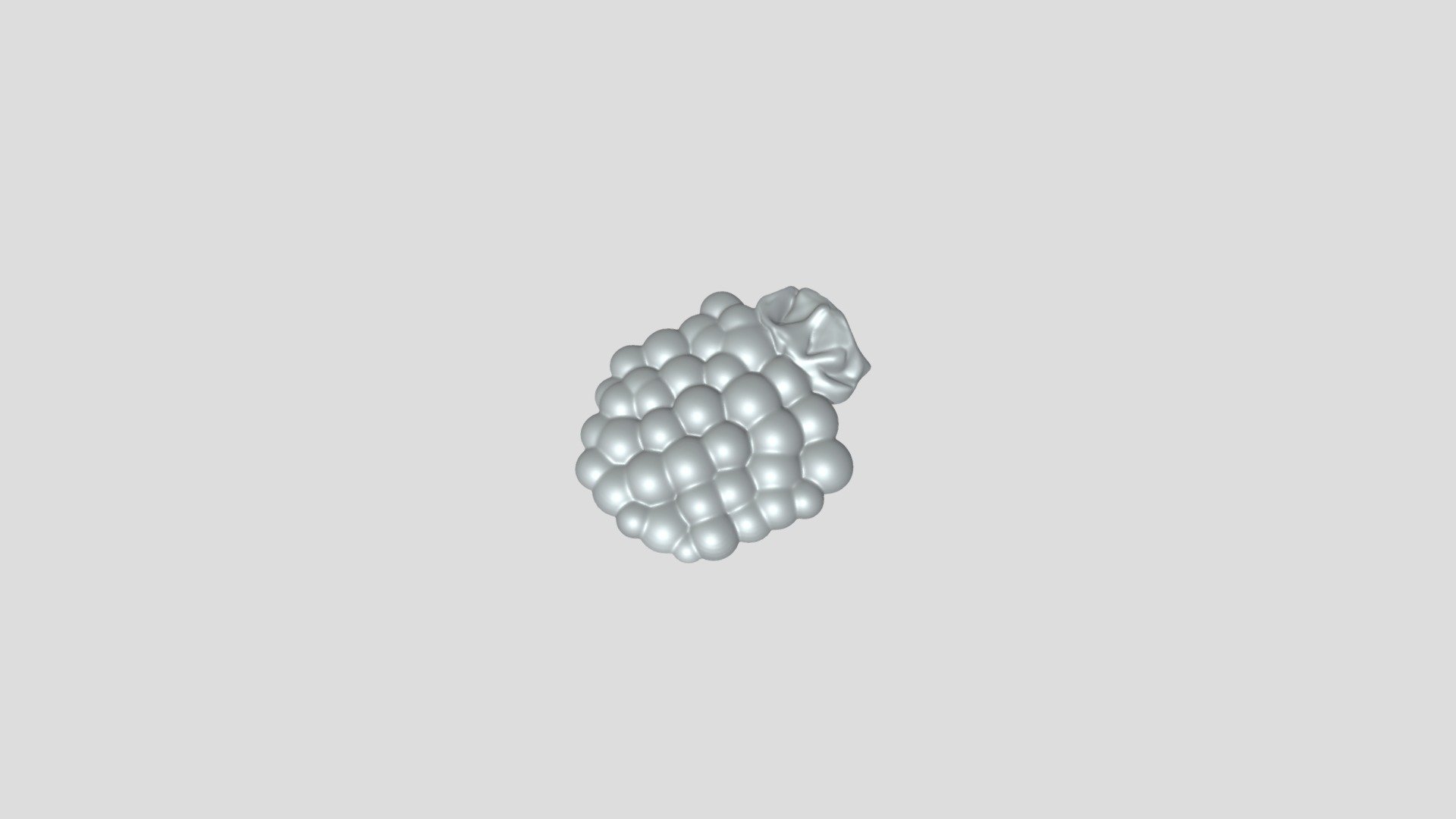 Raspberry - 3D model by wadarod [cd055b0] - Sketchfab
