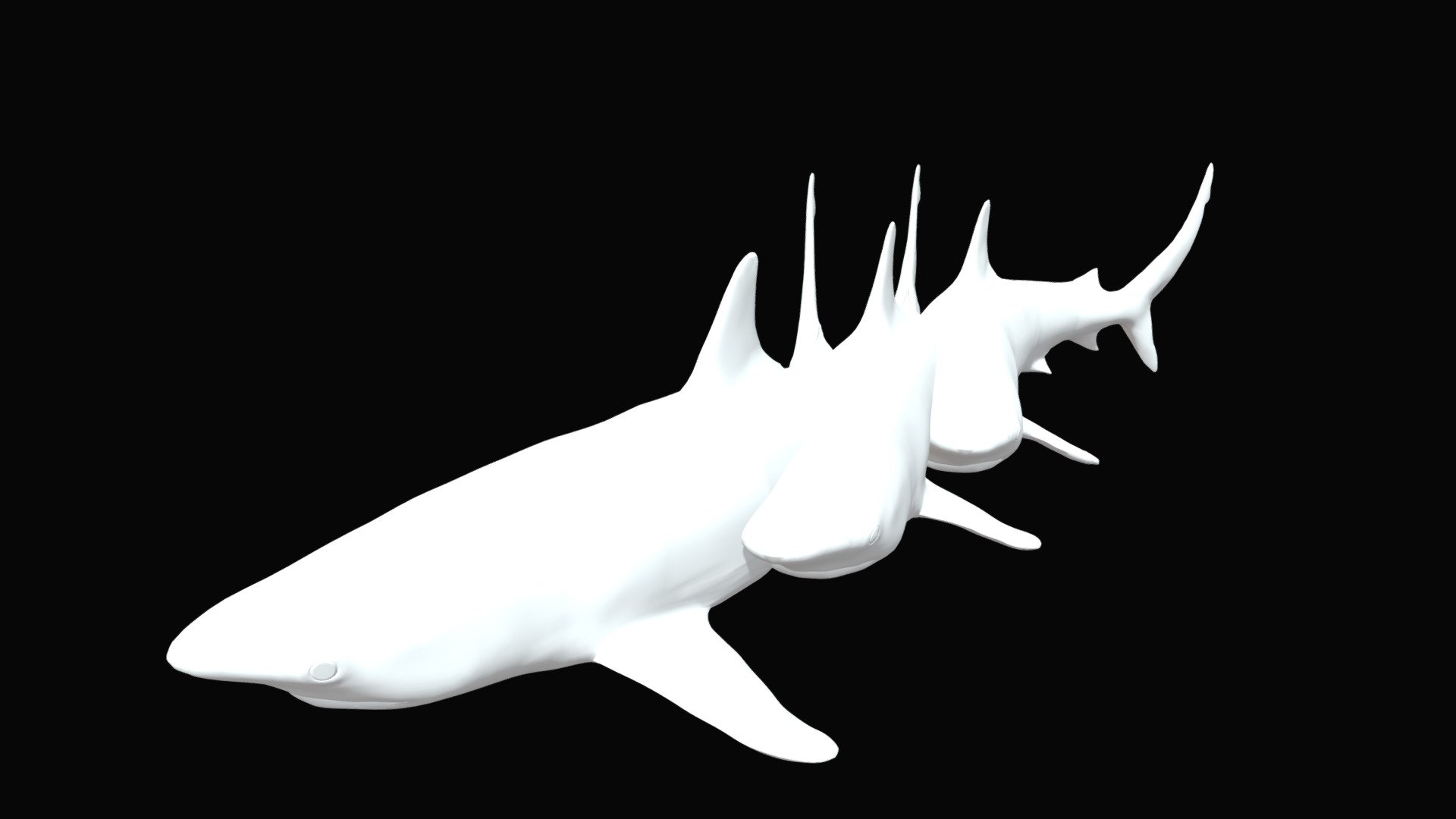 Shark Movement (triple body, distinct) - Download Free 3D model by ...