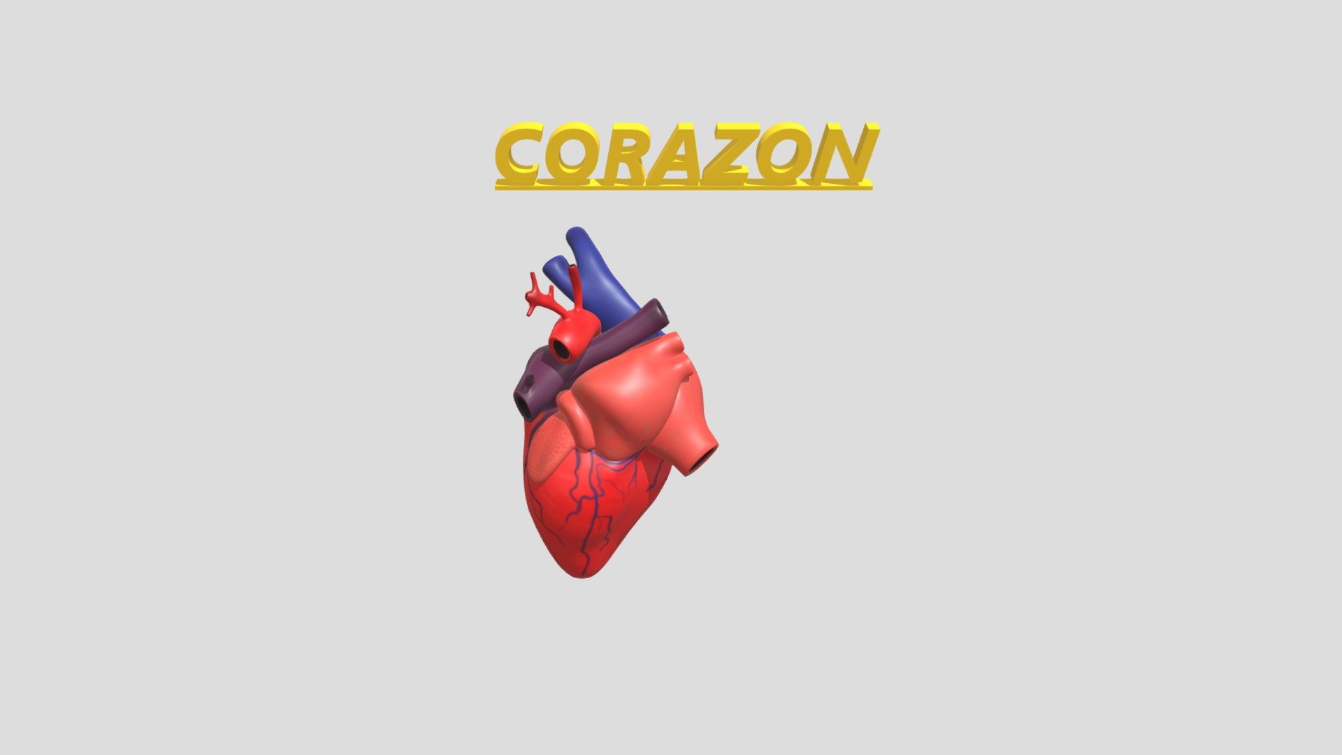 CORAZON 3D - 3D model by jonnaquilli [cd13f7a] - Sketchfab