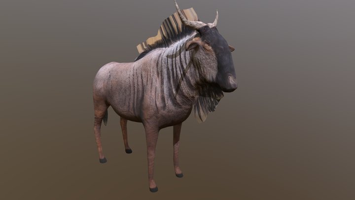 Gnu 3D models - Sketchfab
