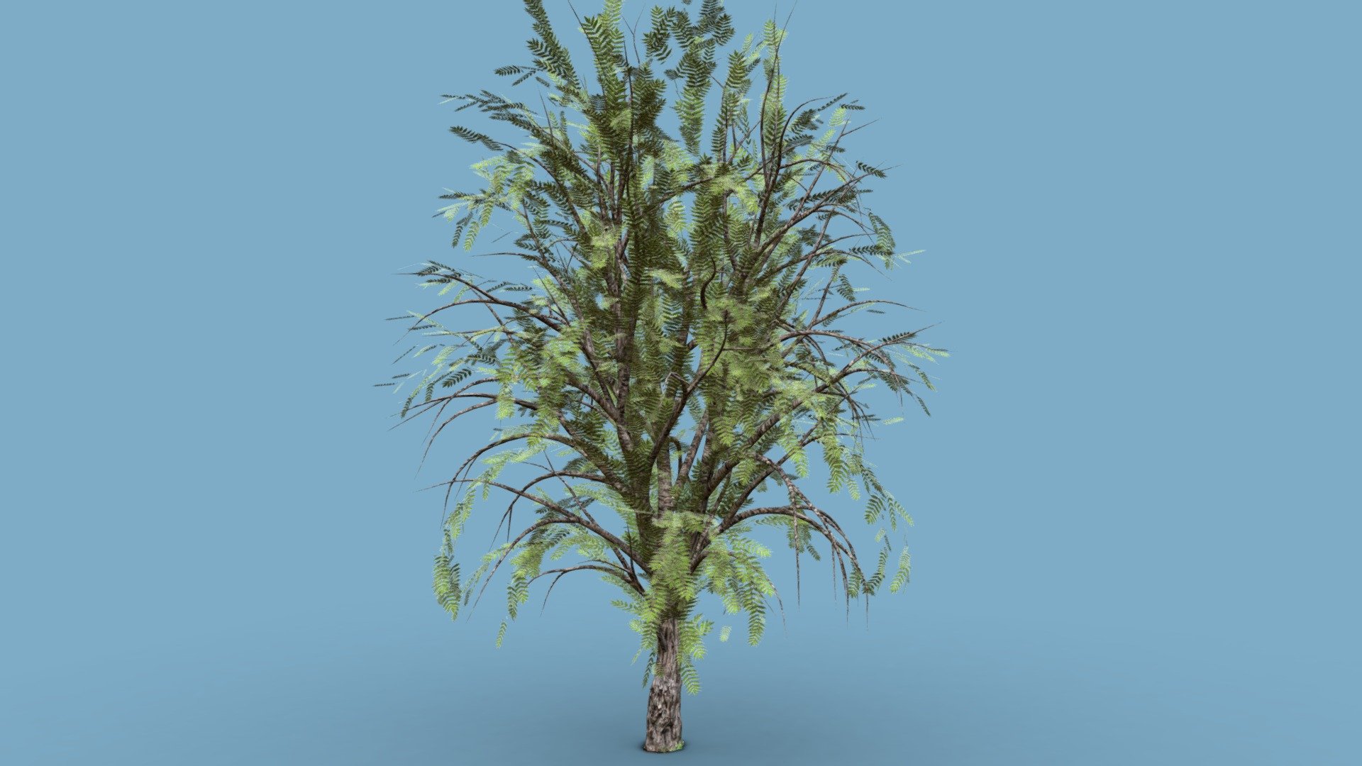 HIGH QUALITY TREE 4/6 - Download Free 3D model by EFX (@evan4129 ...