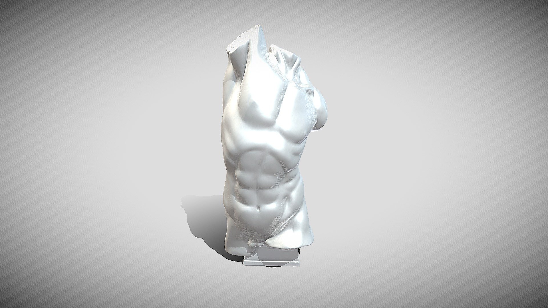 Torso - 3D model by matteocitterio.it (@matteocit) [cd1edbc] - Sketchfab