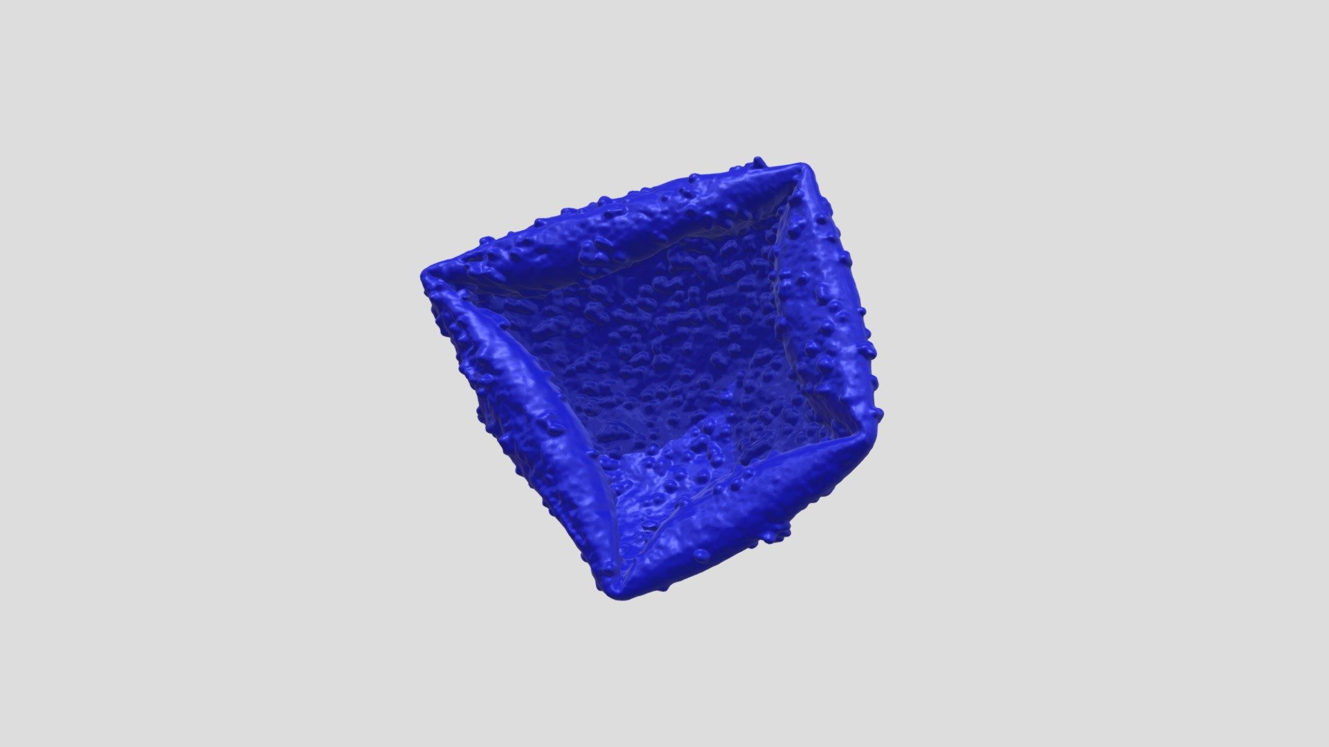 Common juniper (Juniperis communis) pollen grain - 3D model by Cardiff ...