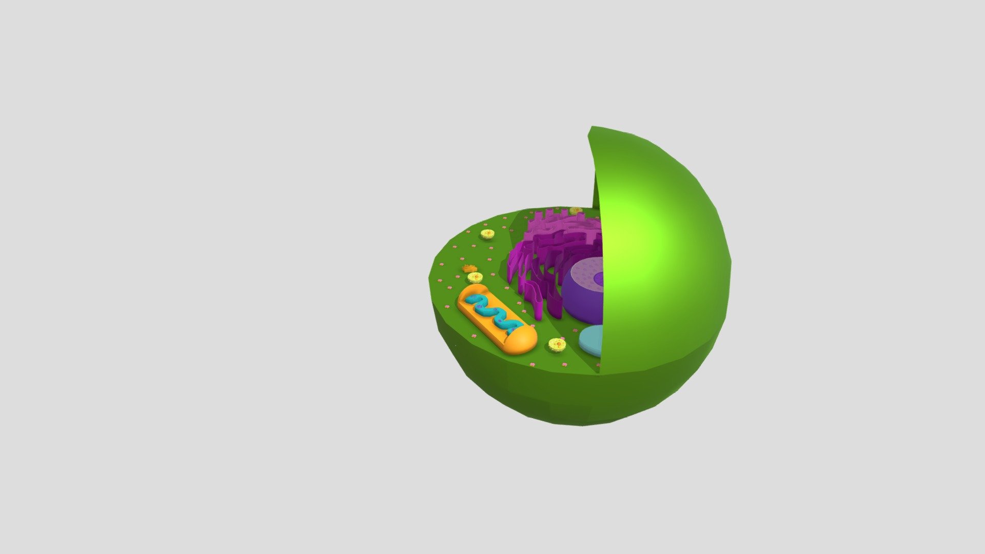 Cellula definitiva - 3D model by emiliano.lucini [cd327af] - Sketchfab