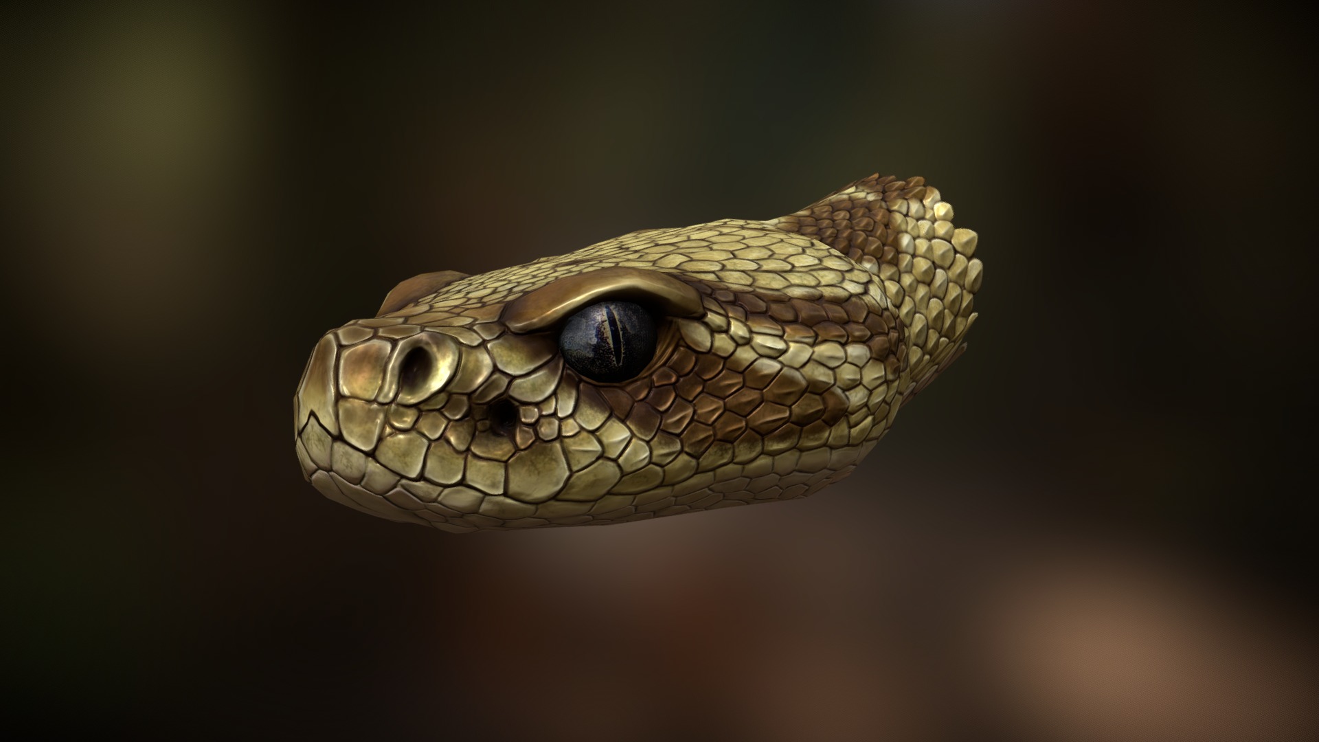 RattleSnake Bust - 3D model by menglow [cd3877d] - Sketchfab