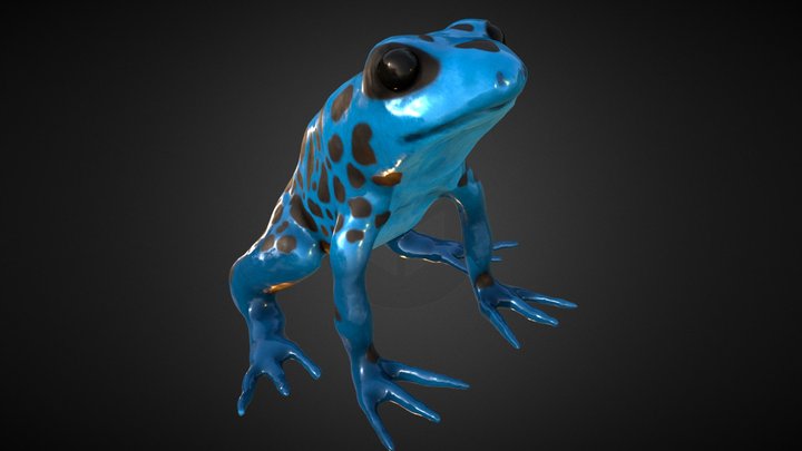 Bluefrog 3D models - Sketchfab