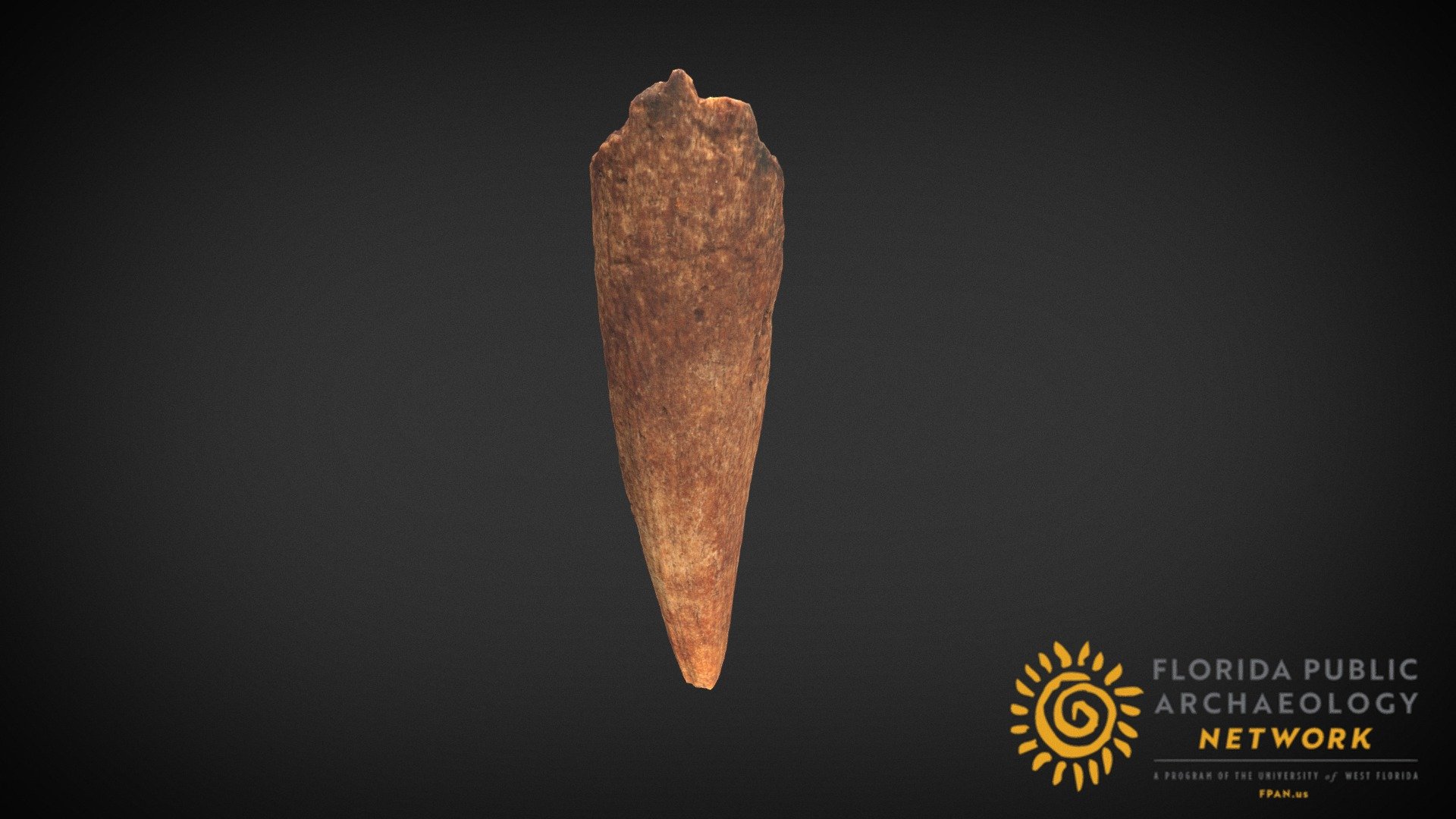 Bone pin - Download Free 3D model by Florida Public Archaeology Network ...