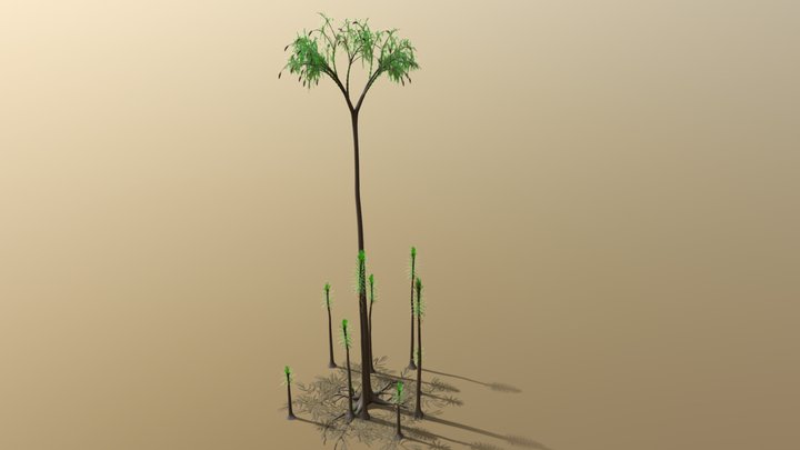 Carboniferous 3D models - Sketchfab