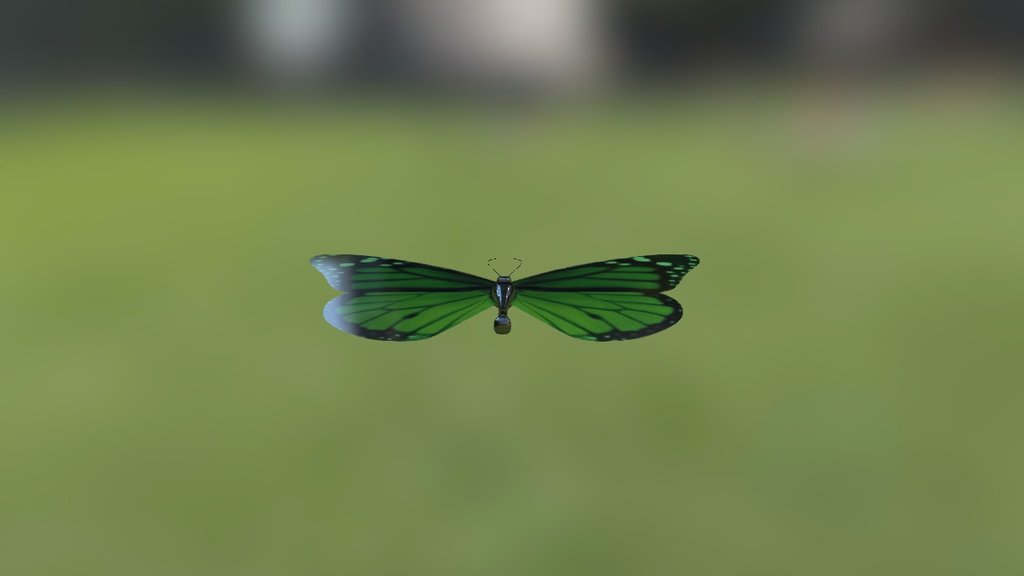 parvane - 3D model by netforsp [cd4629a] - Sketchfab