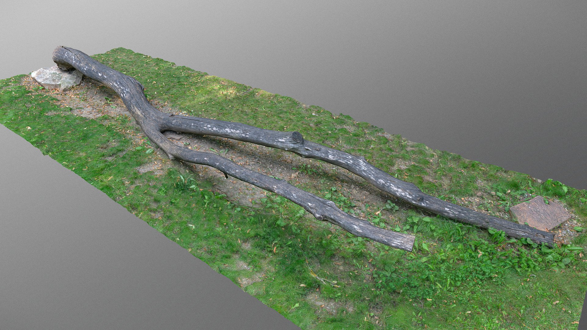 Tree trunks Y bench - 3D model by matousekfoto [cd4b886] - Sketchfab