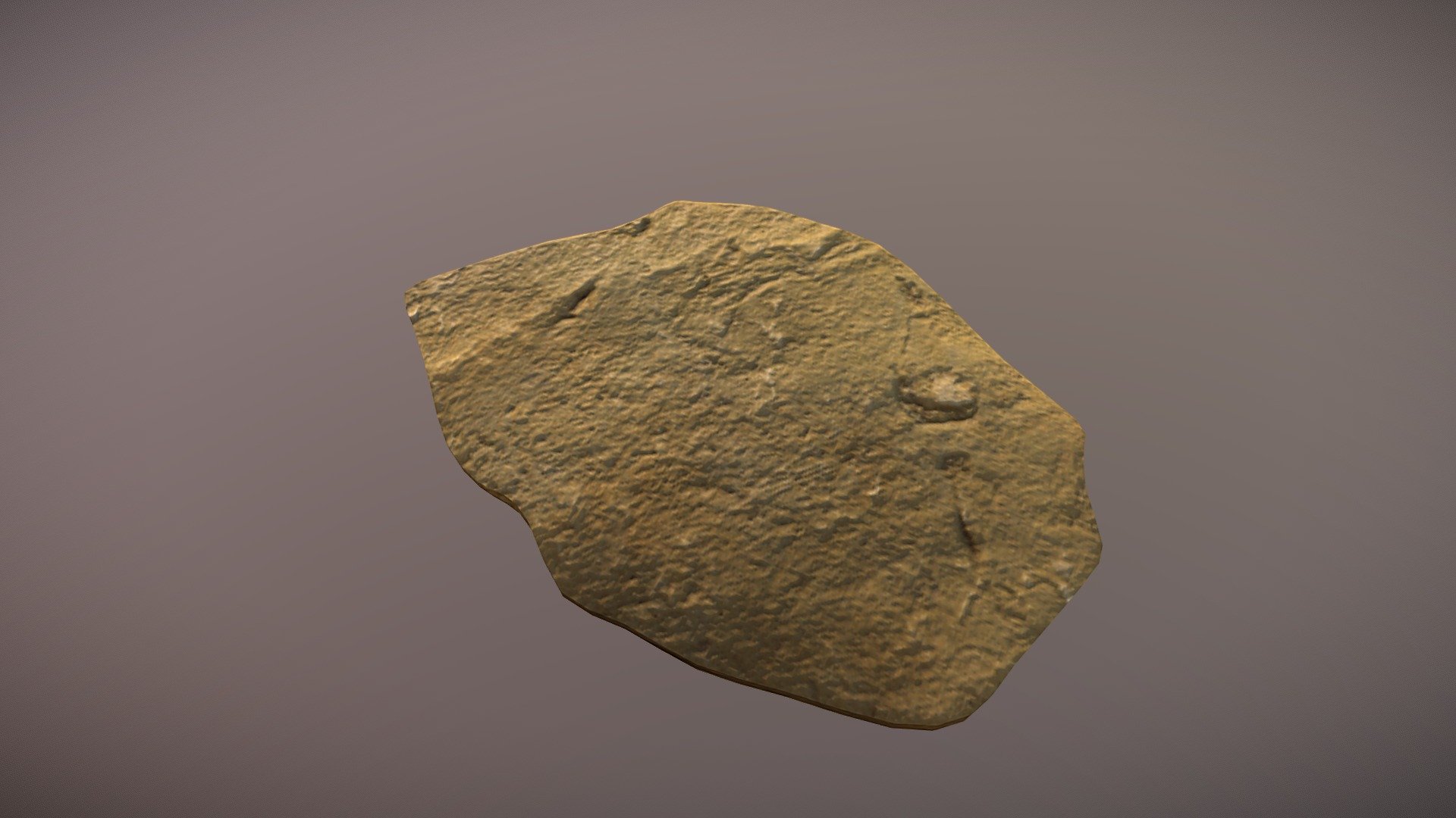 Question 2A Cruziana - 3D model by Systematic Paleontology Missouri S&T ...