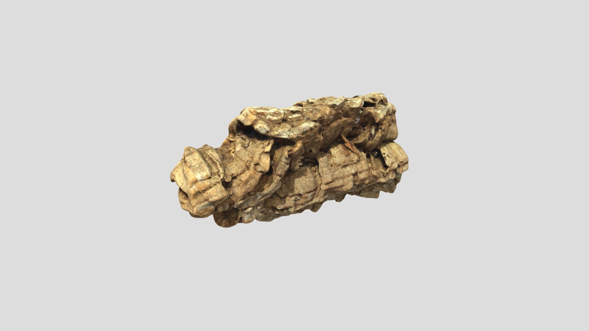cork bark for terrariums - 3D model by 3DScan4You.de (@3dscan4you ...