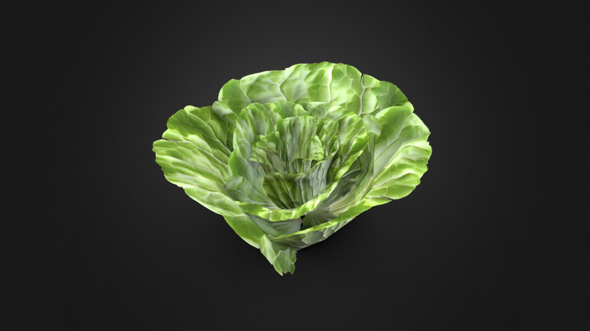 Low Poly Lettuce - 3D model by nikola (@nugarkovic) [cd608eb] - Sketchfab
