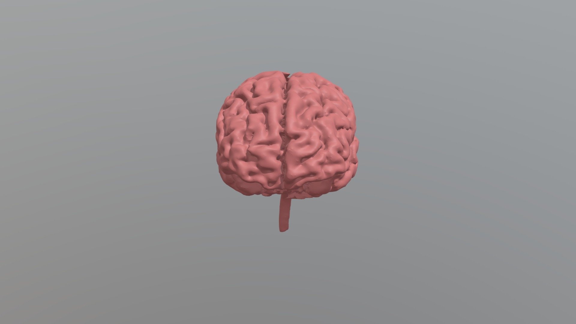 Segmentation_Brain - Download Free 3D model by SunitaS [cd6244b ...