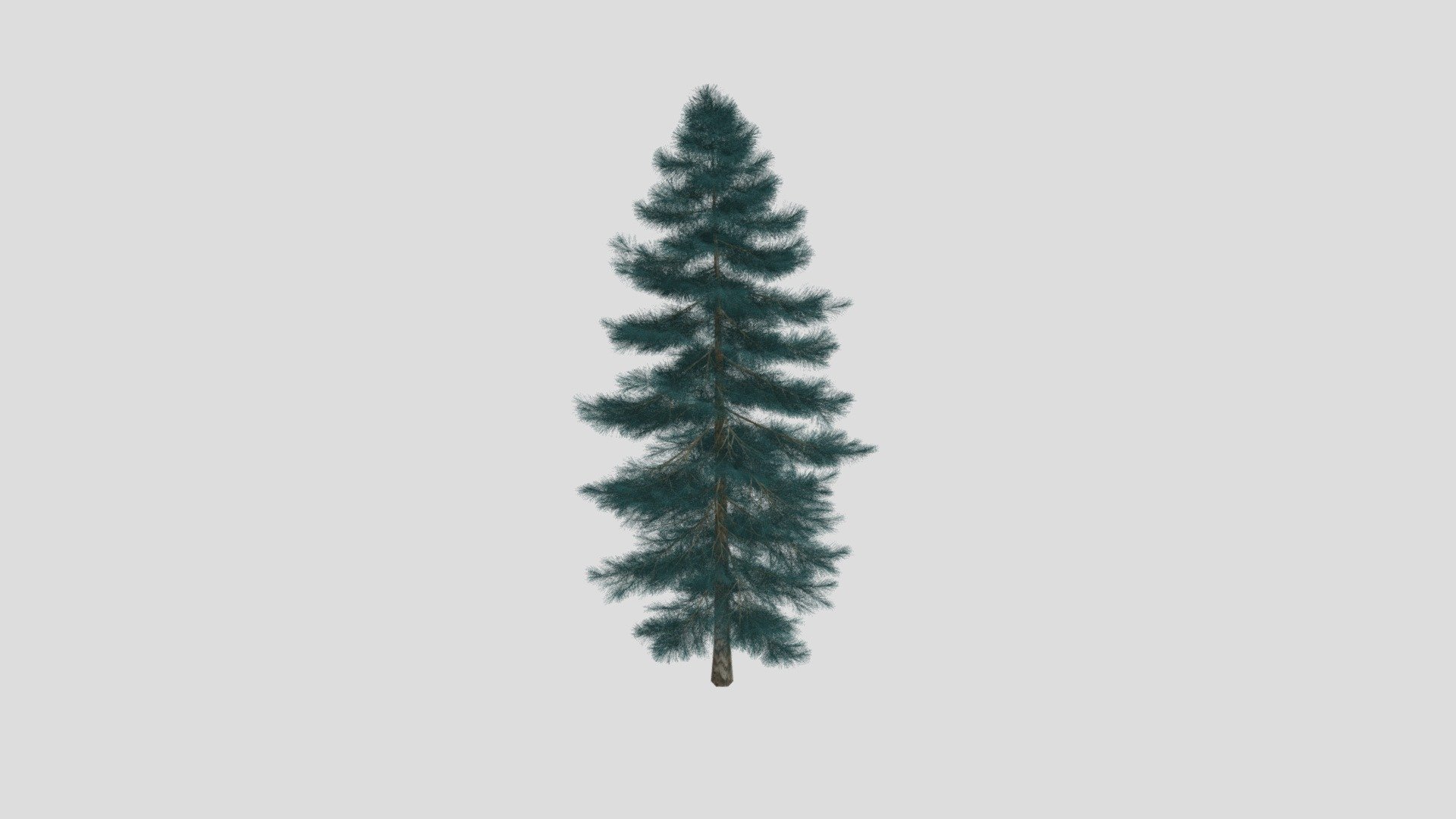 Spruce Tree - Download Free 3D model by EmreAlkan (@Lknmr) [cd649ed ...