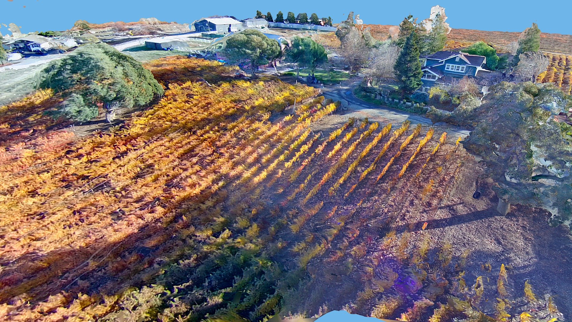 Boa Ventura Vineyards, December - 3D model by John Toeppen (@toeppen ...