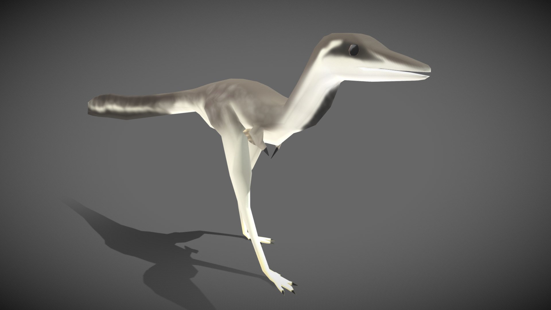 Shuvuuia Deserti - 3D model by CatfishYAY [cd67d72] - Sketchfab