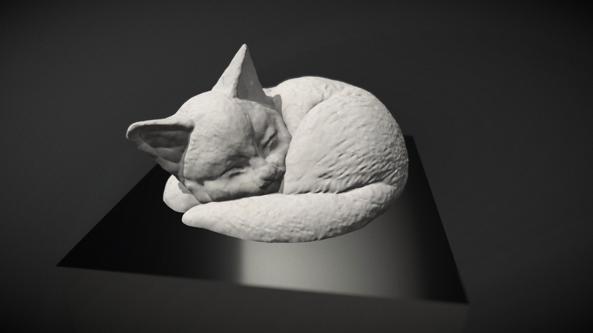 3D Cat - 3D model by giacomopettinato [cd68cc8] - Sketchfab