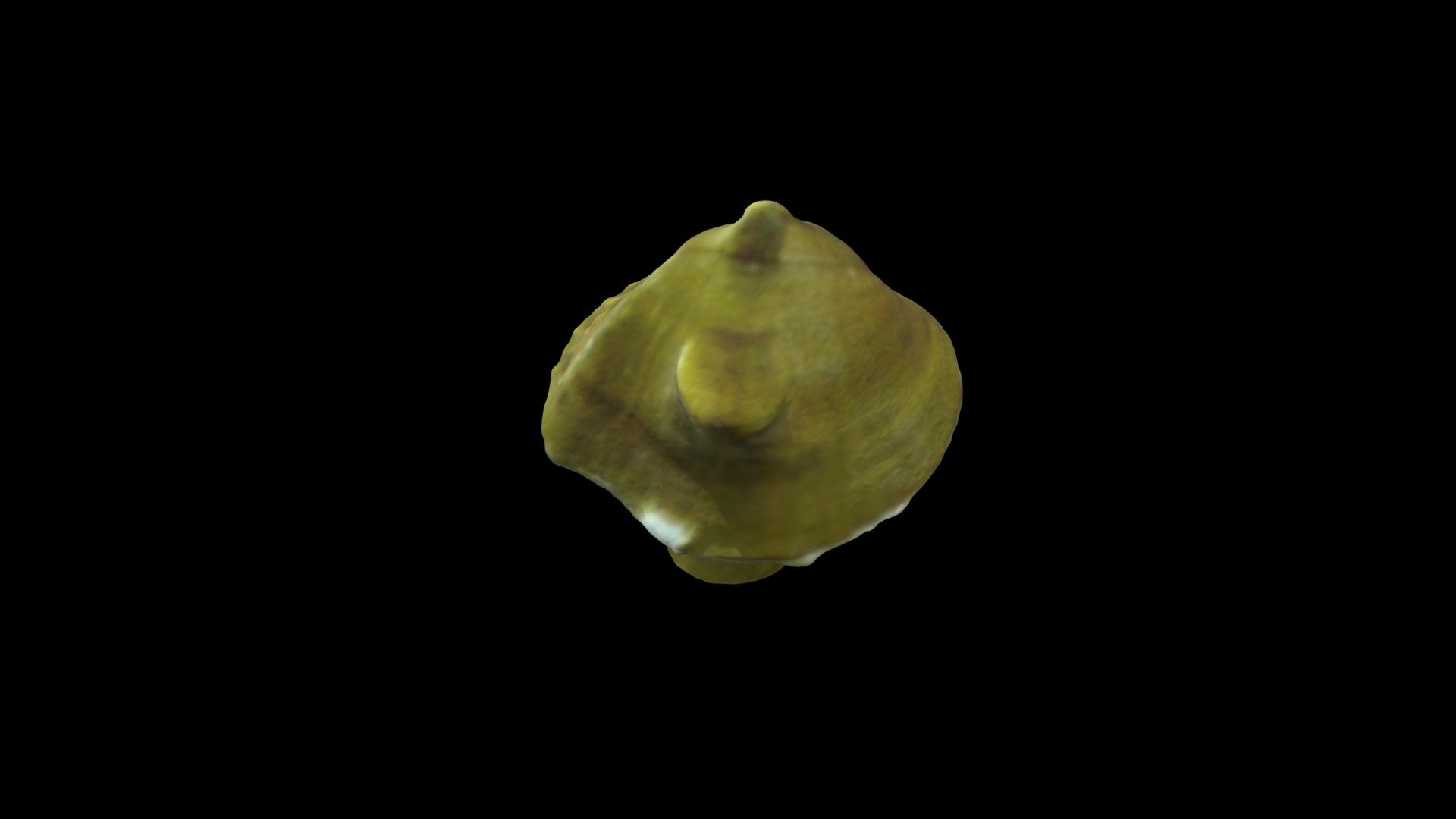 Threehorn Wartyback - 3D model by atolin [cd84599] - Sketchfab