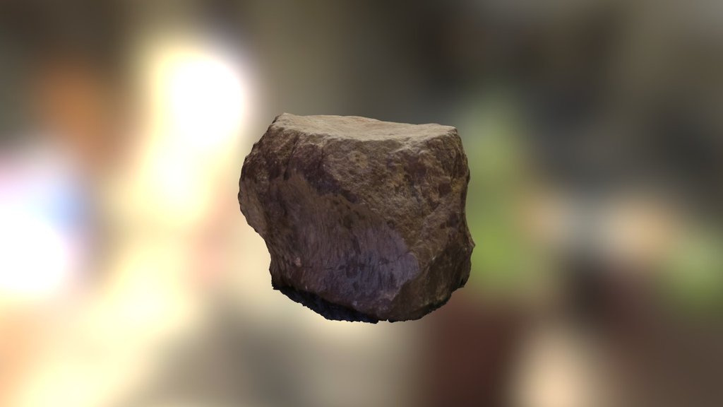 Fossil - 3D model by gburkett05 [cd8b087] - Sketchfab