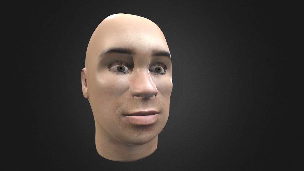 Cabeza - 3D model by anadiacer [cd8be1f] - Sketchfab