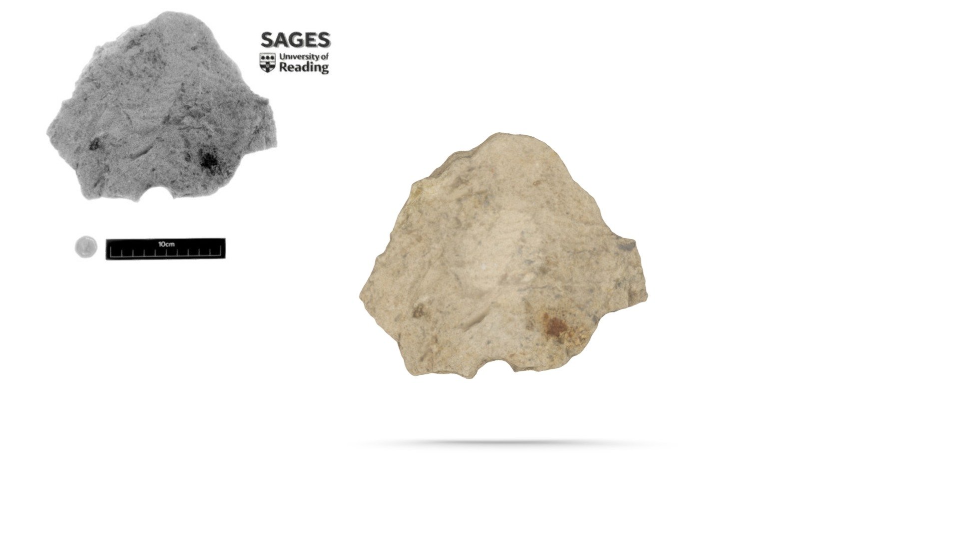 Fragment Lower Stone of a Roman Rotary Quern - 3D model by University ...
