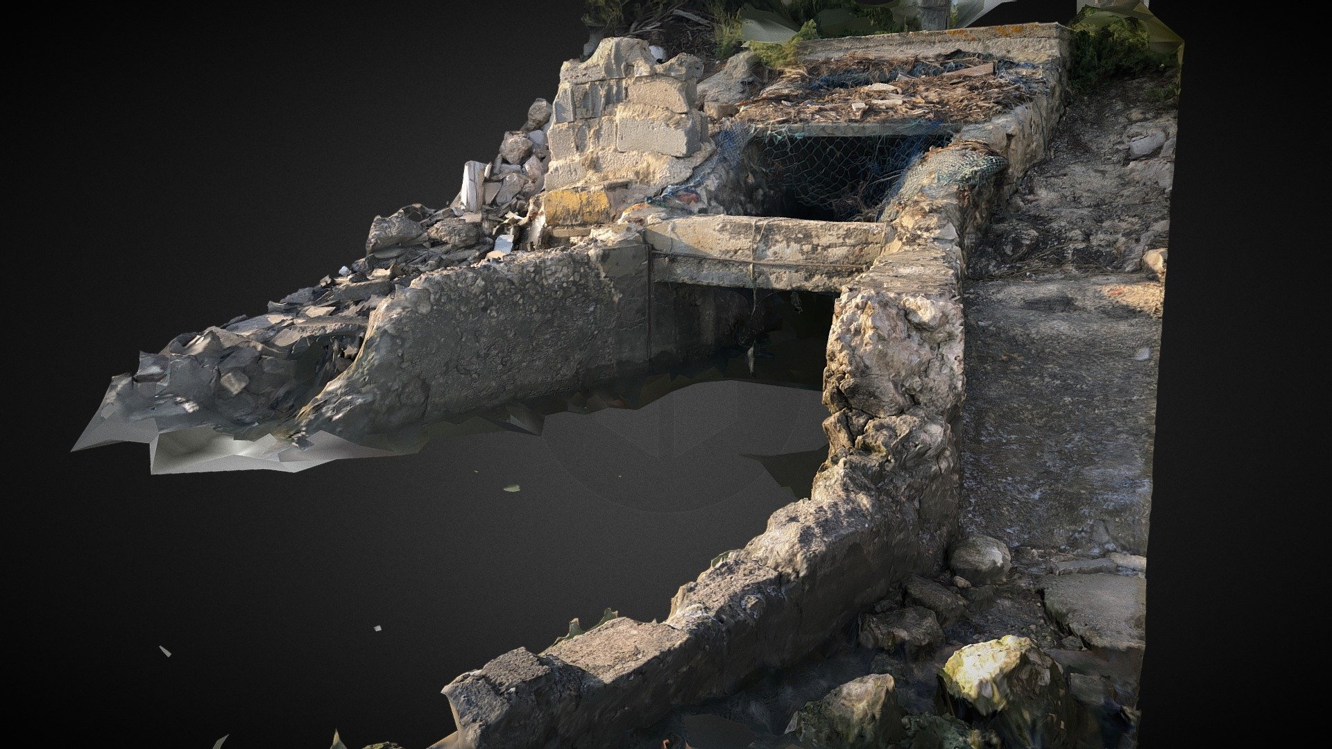 Sea food - Water tank overflow - Download Free 3D model by David Vereš ...