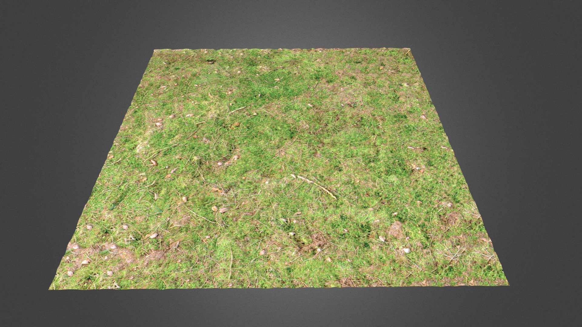mossy Forest Ground I - 3D model by ProjectNature [cda3120] - Sketchfab