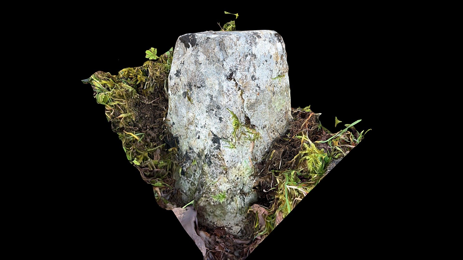 borNE.MONM-ROCH.nb - Download Free 3D model by clwacker [cda5332 ...