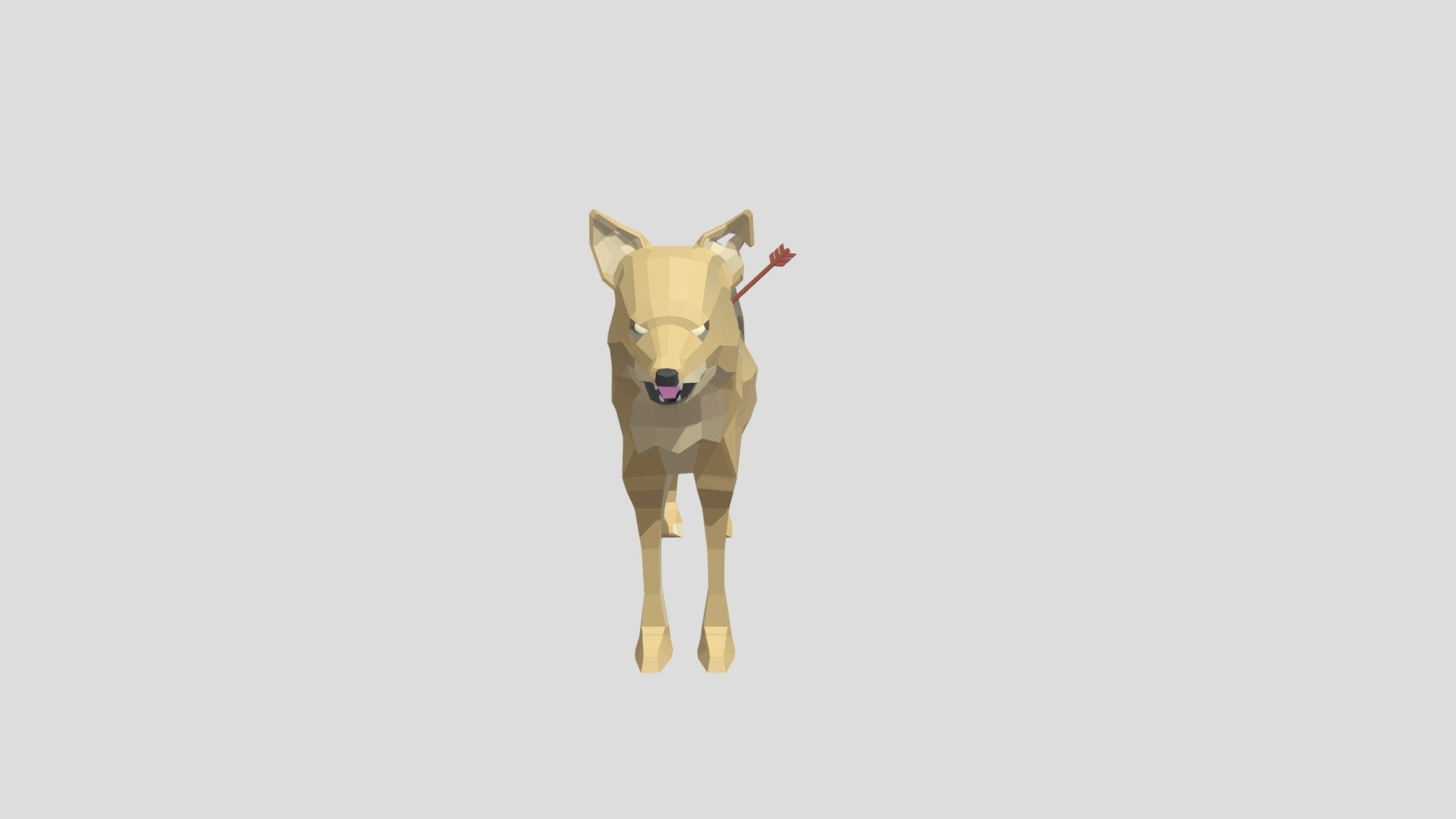 Coyote - 3D model by raguila [cda5809] - Sketchfab