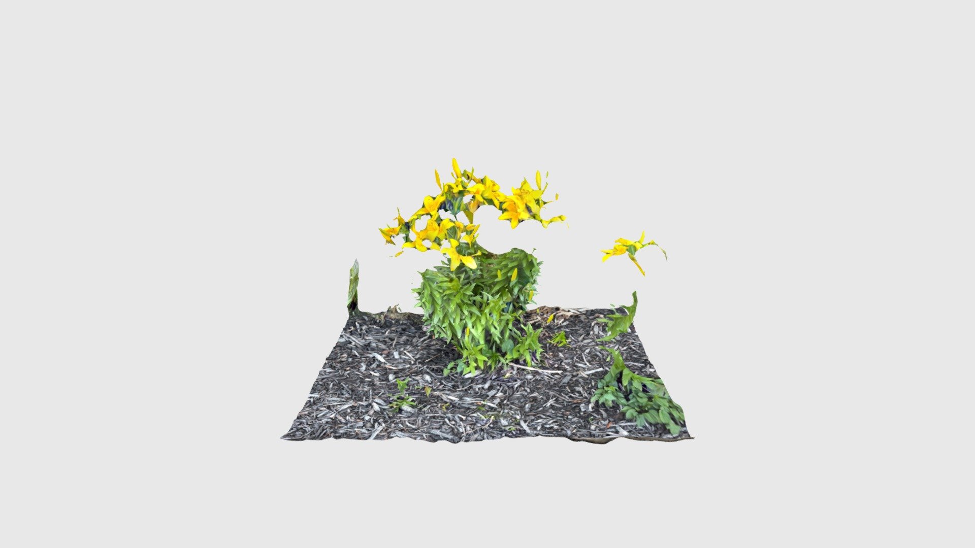 Flowers 2 - Download Free 3D model by tdtrumble [cdab889] - Sketchfab
