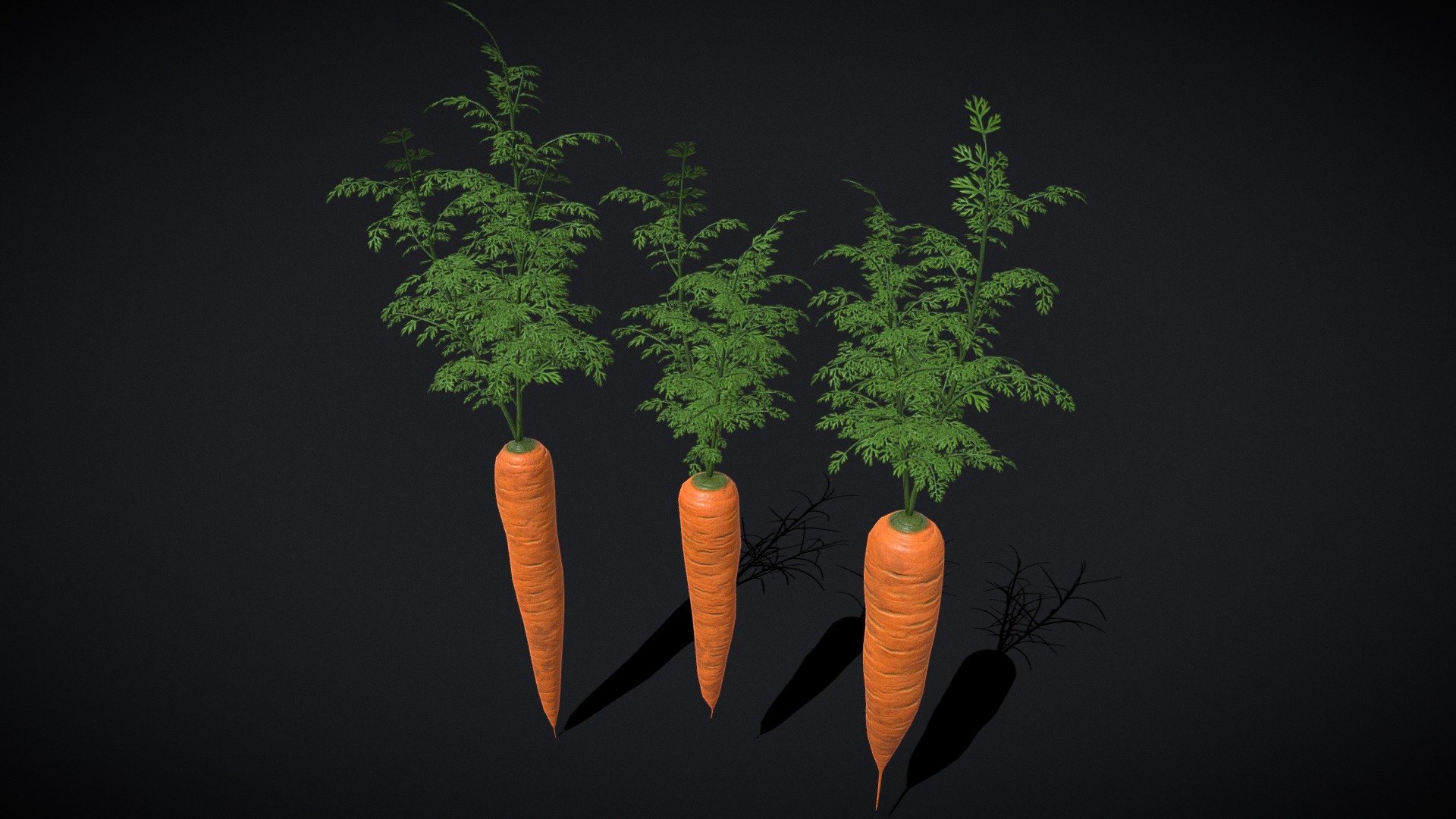 Carrots - Buy Royalty Free 3D model by GetDeadEntertainment [cdb410d ...