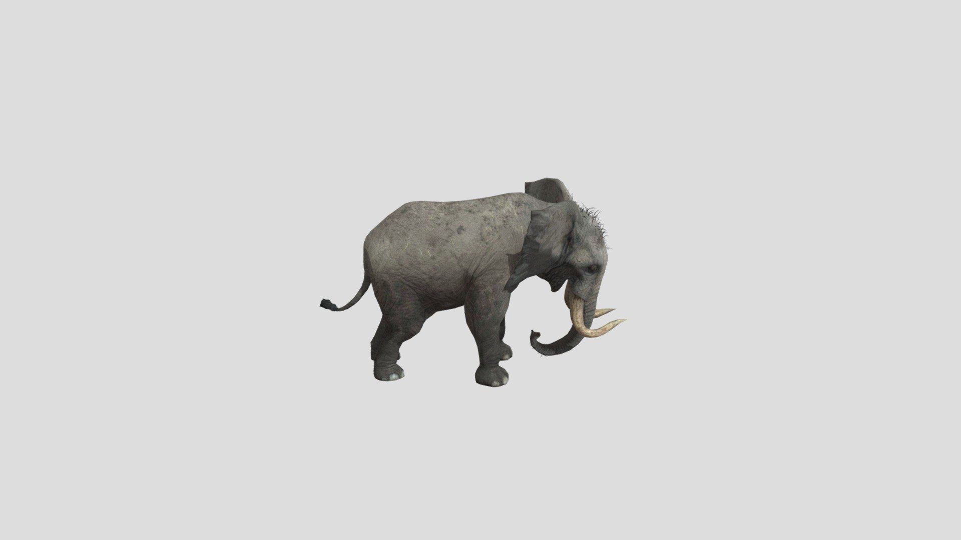 African bush elephant - Download Free 3D model by planeta-elefante ...