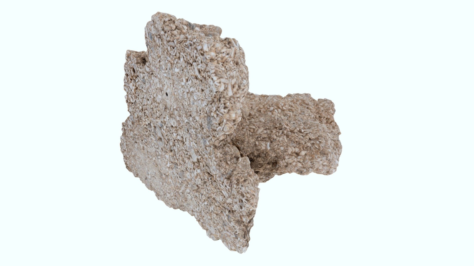 Calcaire packstone bioclastique - Download Free 3D model by Ecole ...