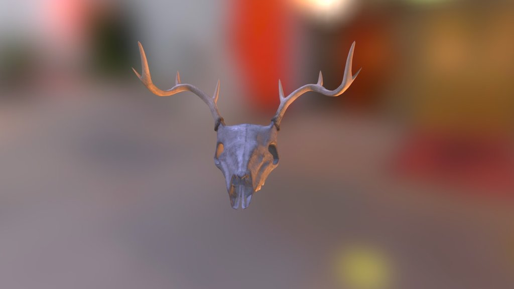 Deer Skull - 3D model by joki_3D [cdb837e] - Sketchfab