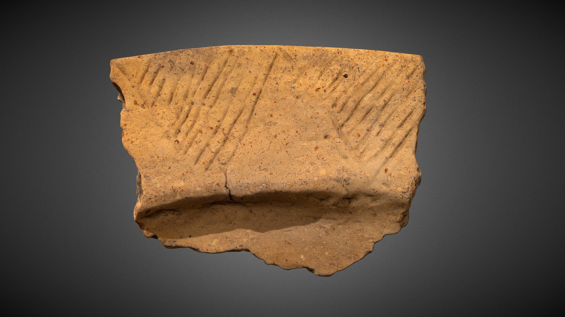 Plate Rim Fragment - Download Free 3D model by Frank McMains ...