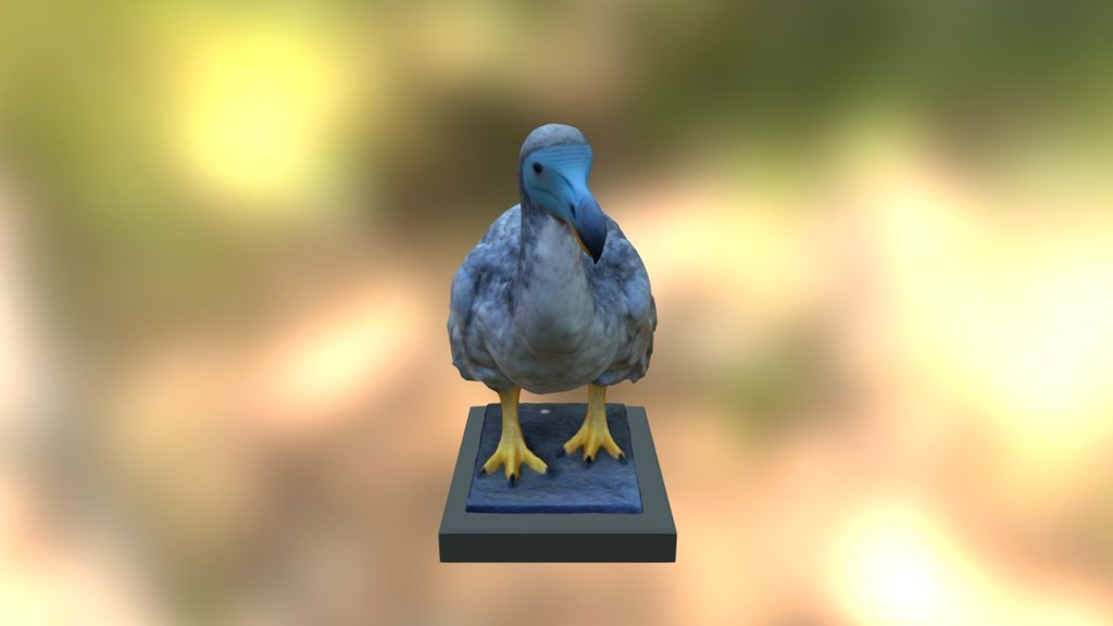 dodo-model - 3D model by pengo [cdcf8f1] - Sketchfab