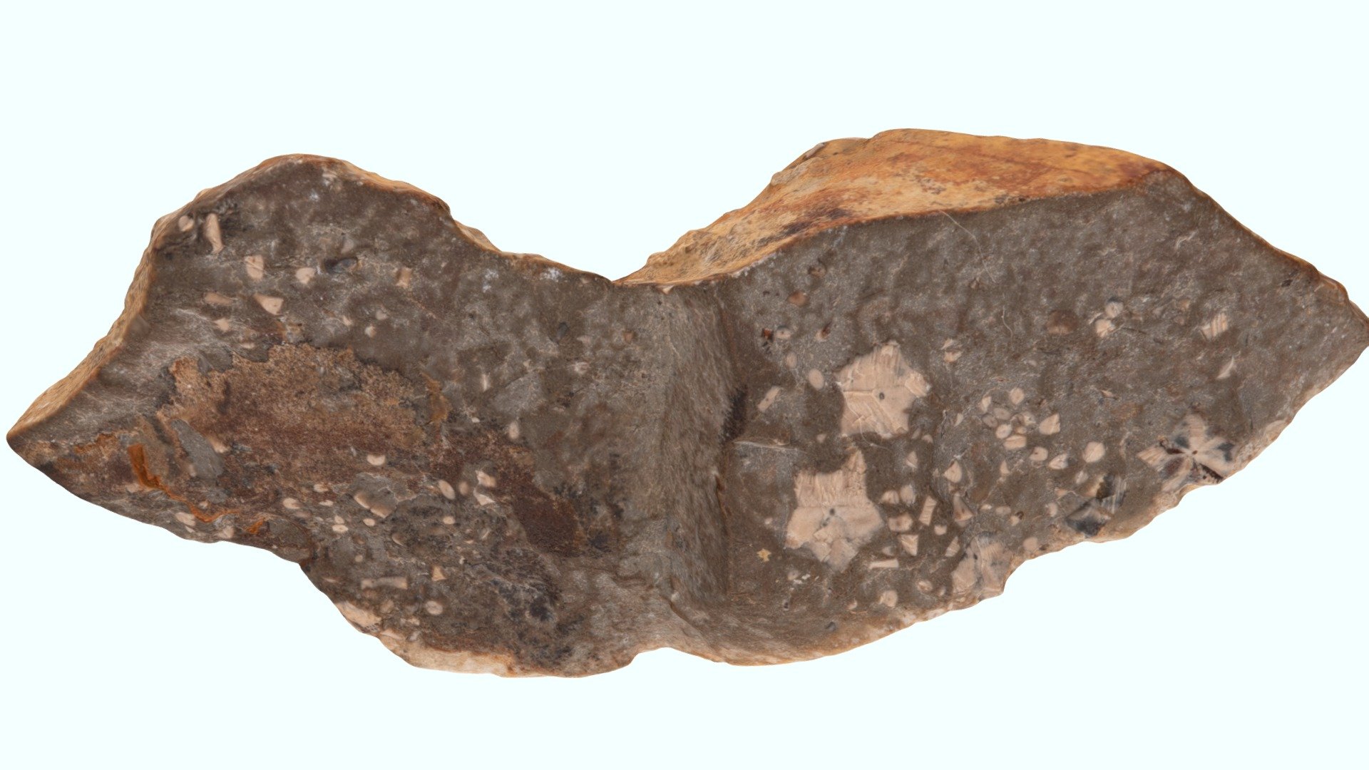 Calcaire bioclastique - 3D model by Ecole Nationale Supérieure de ...