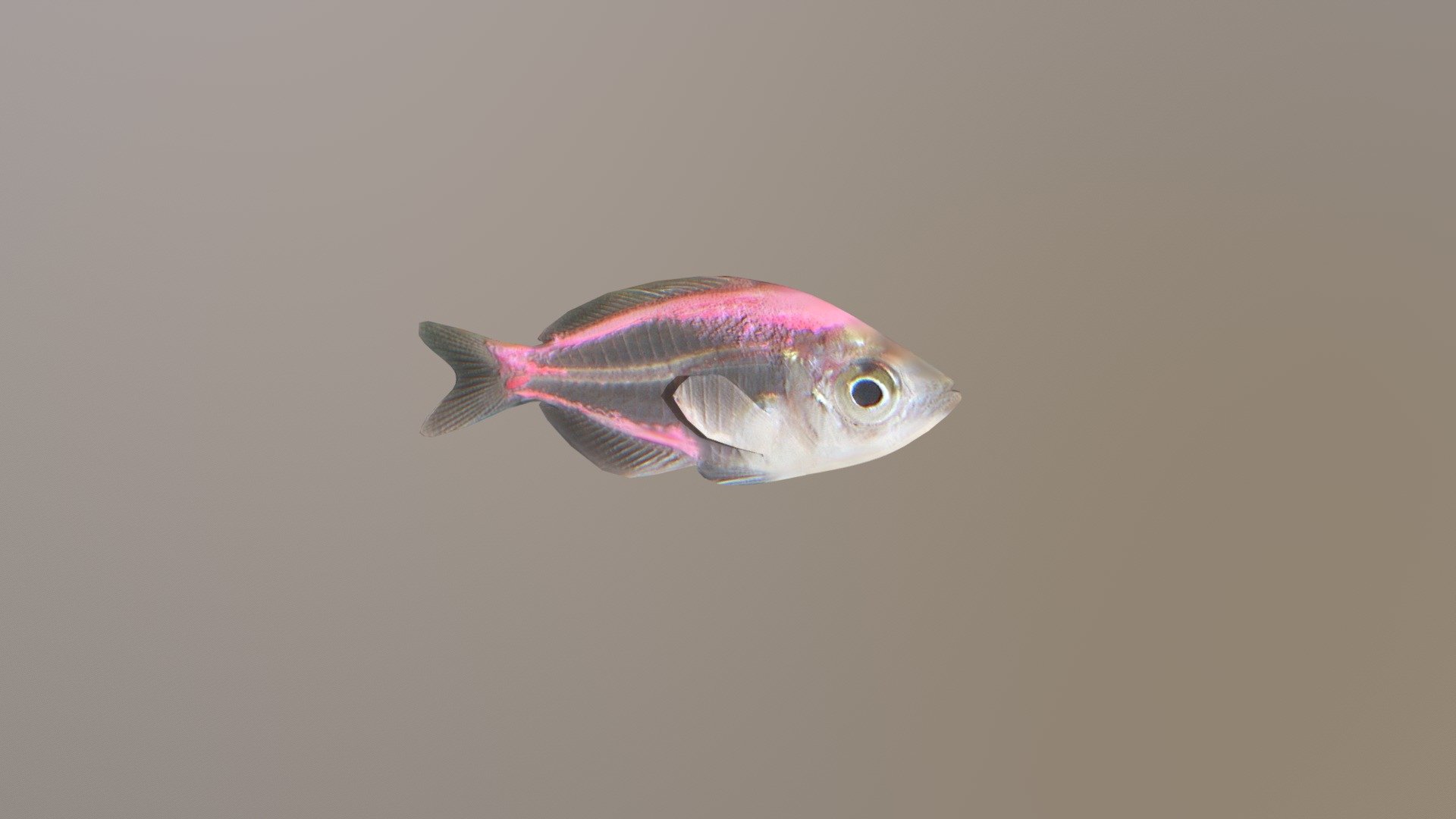 Crystal Catfish - Buy Royalty Free 3D model by 3dlowpoly [cdea095 ...