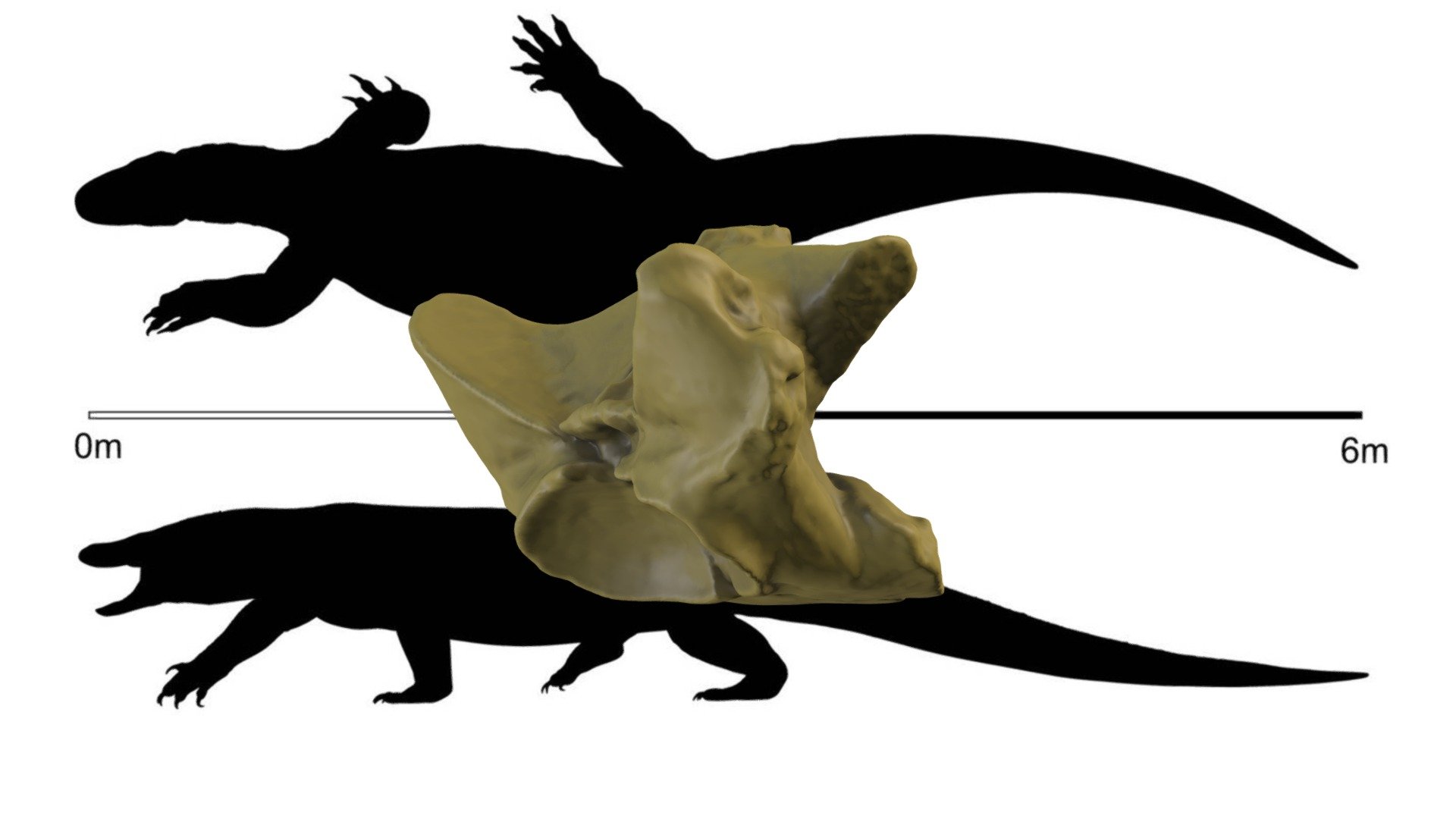 World's Largest Goanna! - 3D model by Queensland Museum ...